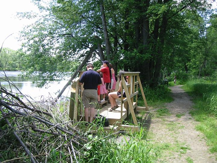 Petrie Island Turtle Trail