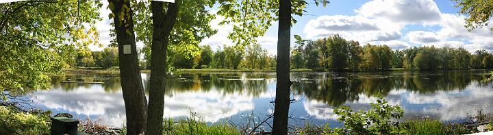 Petrie Island Turtle Trail